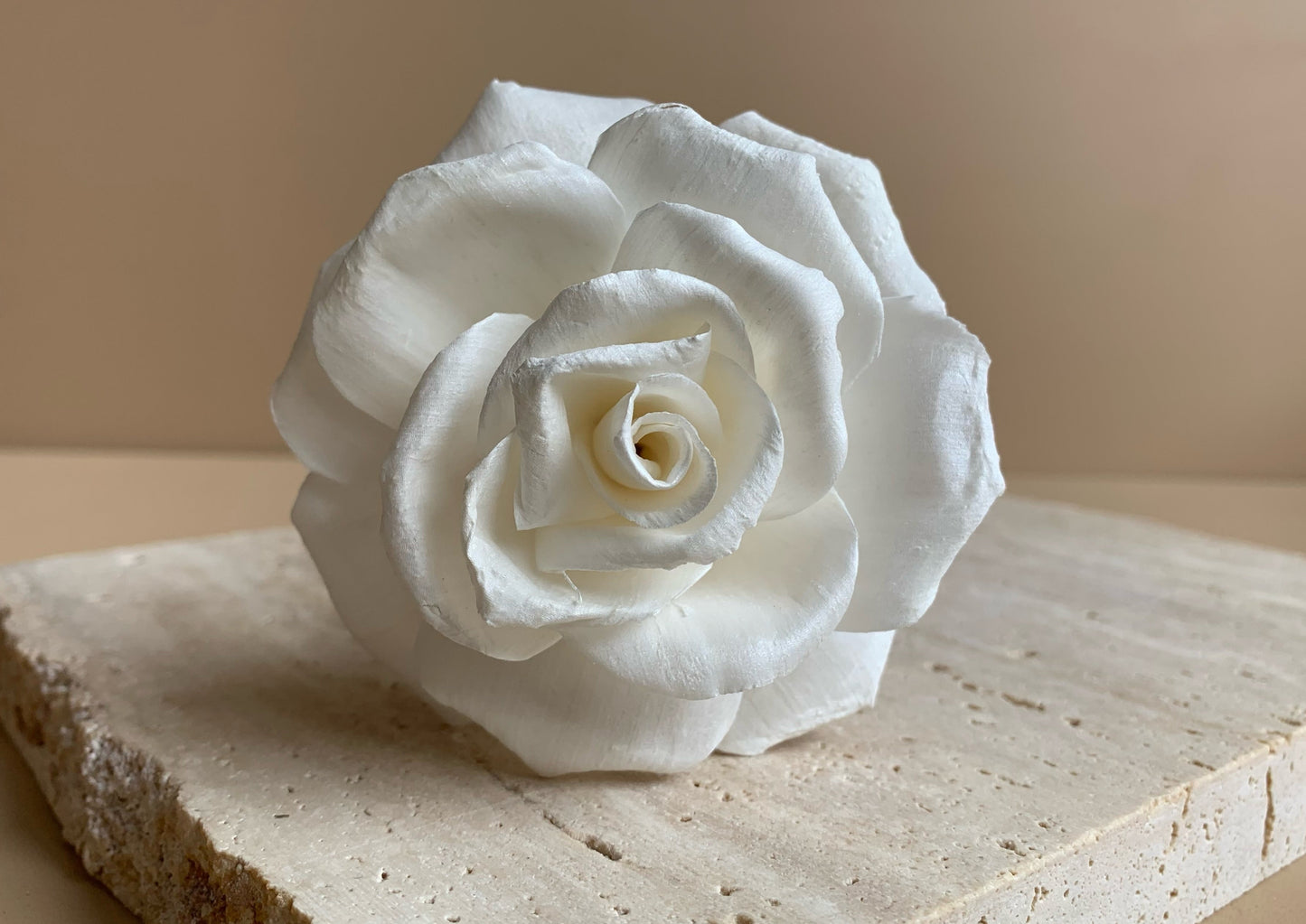 White Reflexed Rose#N# – Sola Flowers Australia